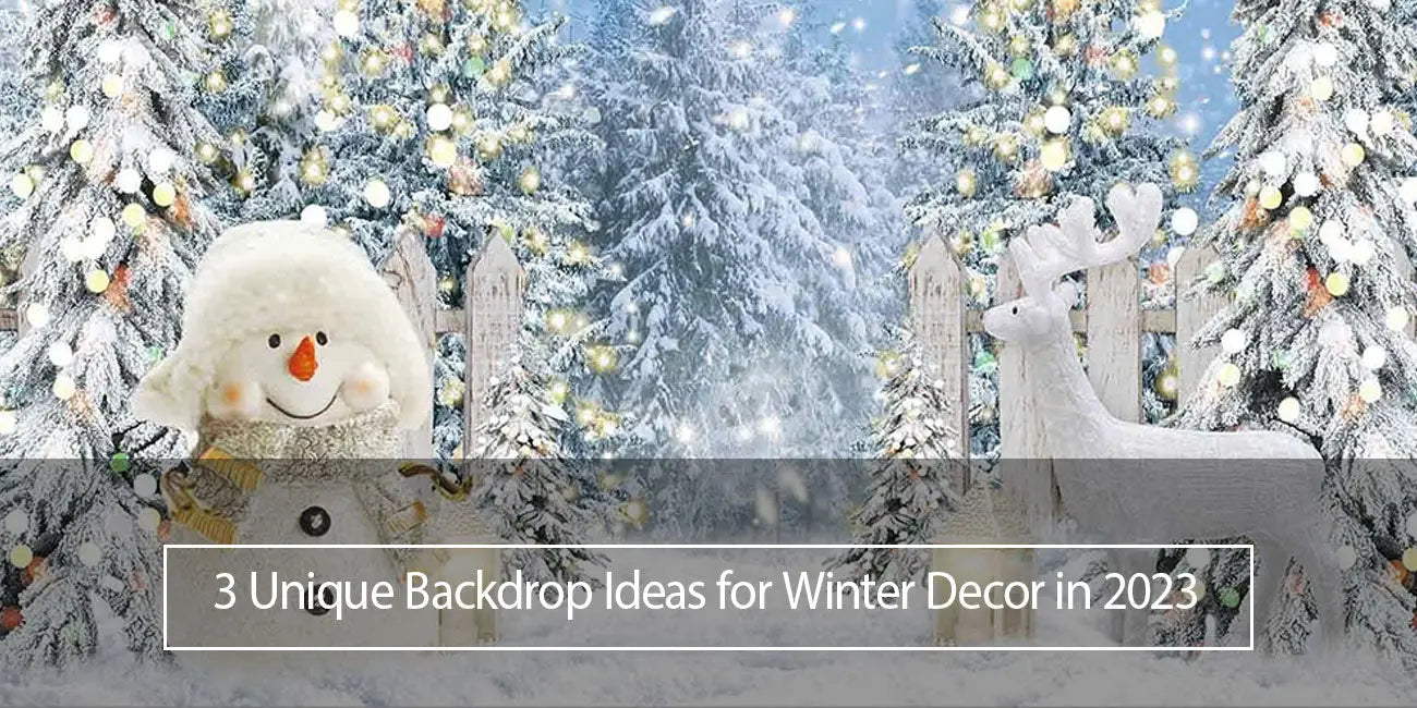 3 Unique Backdrop Ideas for Winter Decor in 2023 - Aperturee